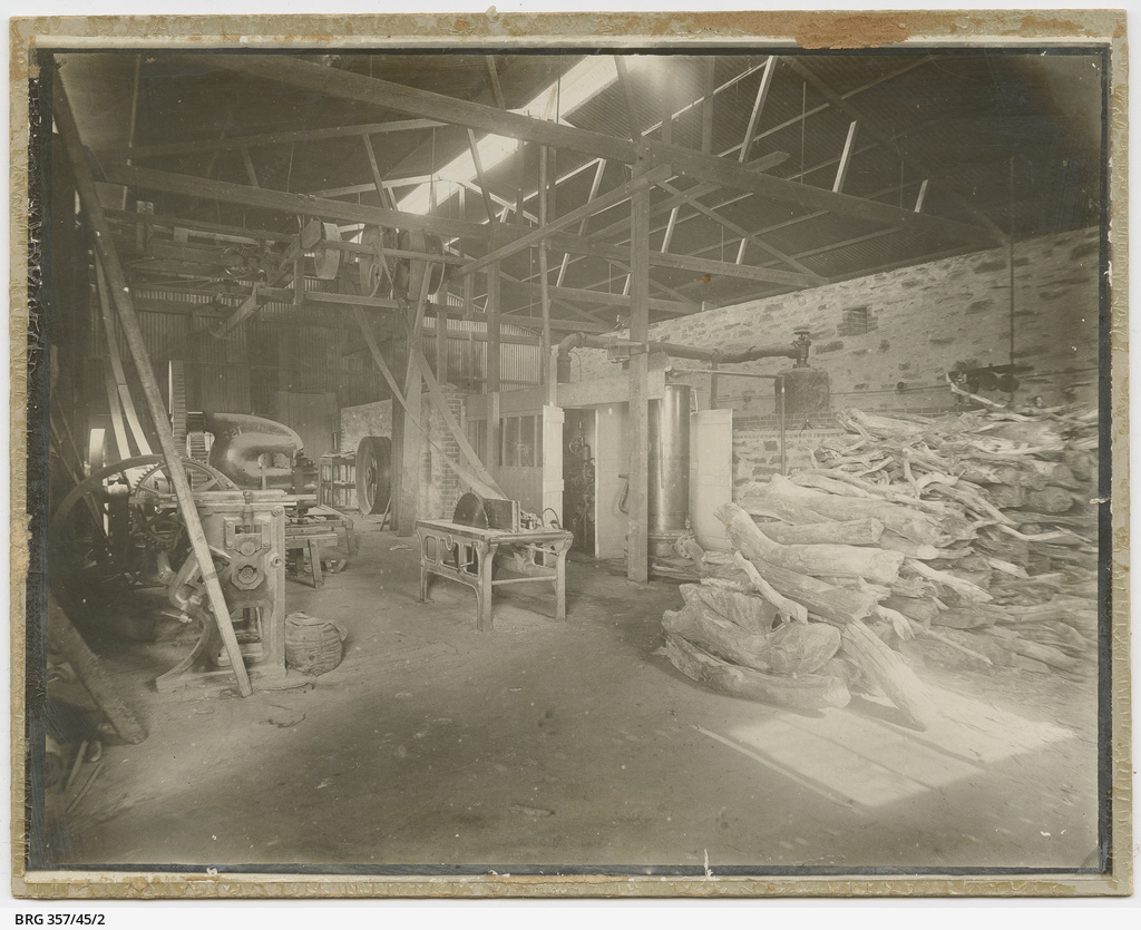 Stonyfell Quarries • Photograph • State Library of South Australia