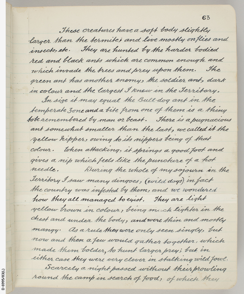 Reminiscences of S.W. Herbert • Mixed material • State Library of South Australia